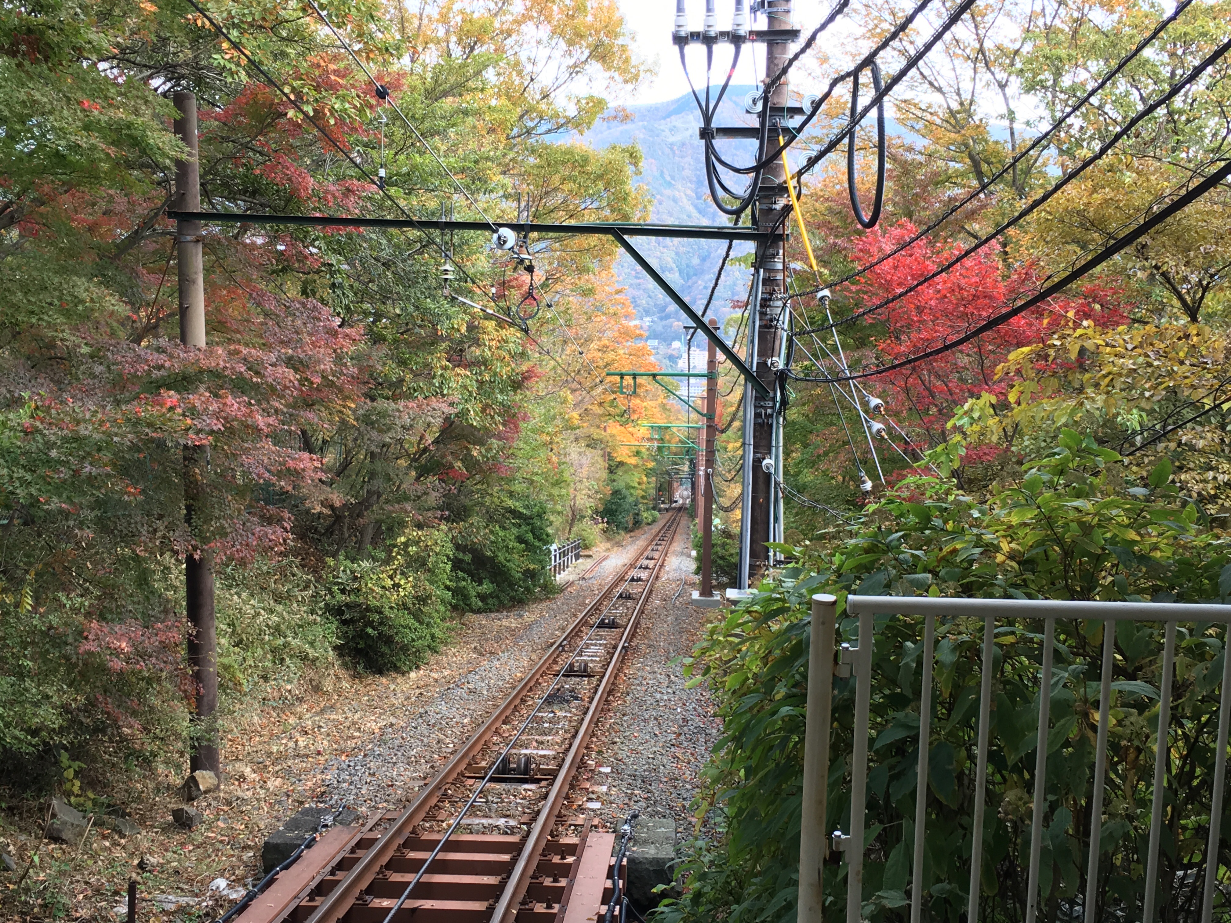 Hakone Fall Foliage – Wabi-Sabi Sole